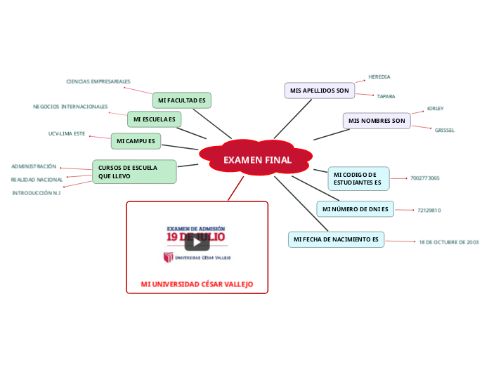 EXAMEN FINAL - Mind Map